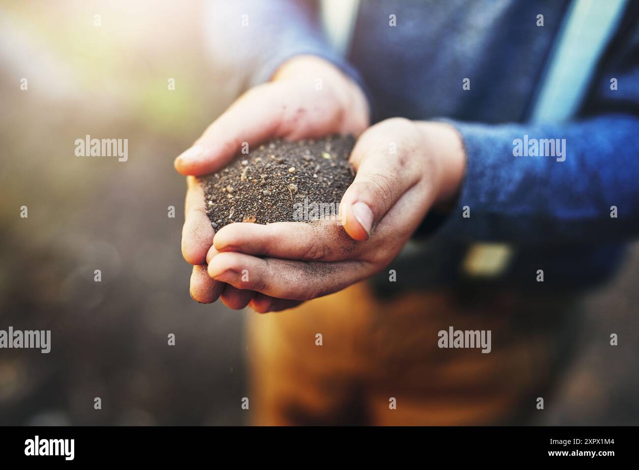 Child, hands and soil in garden outdoor with sensory play to explore ...