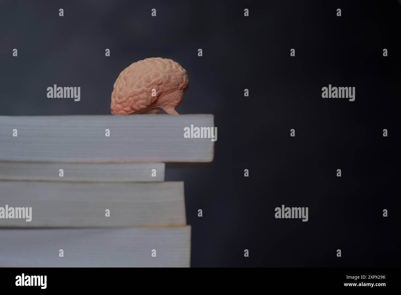 A close-up image of a human brain model on the edge of a stack of books against a dark ...