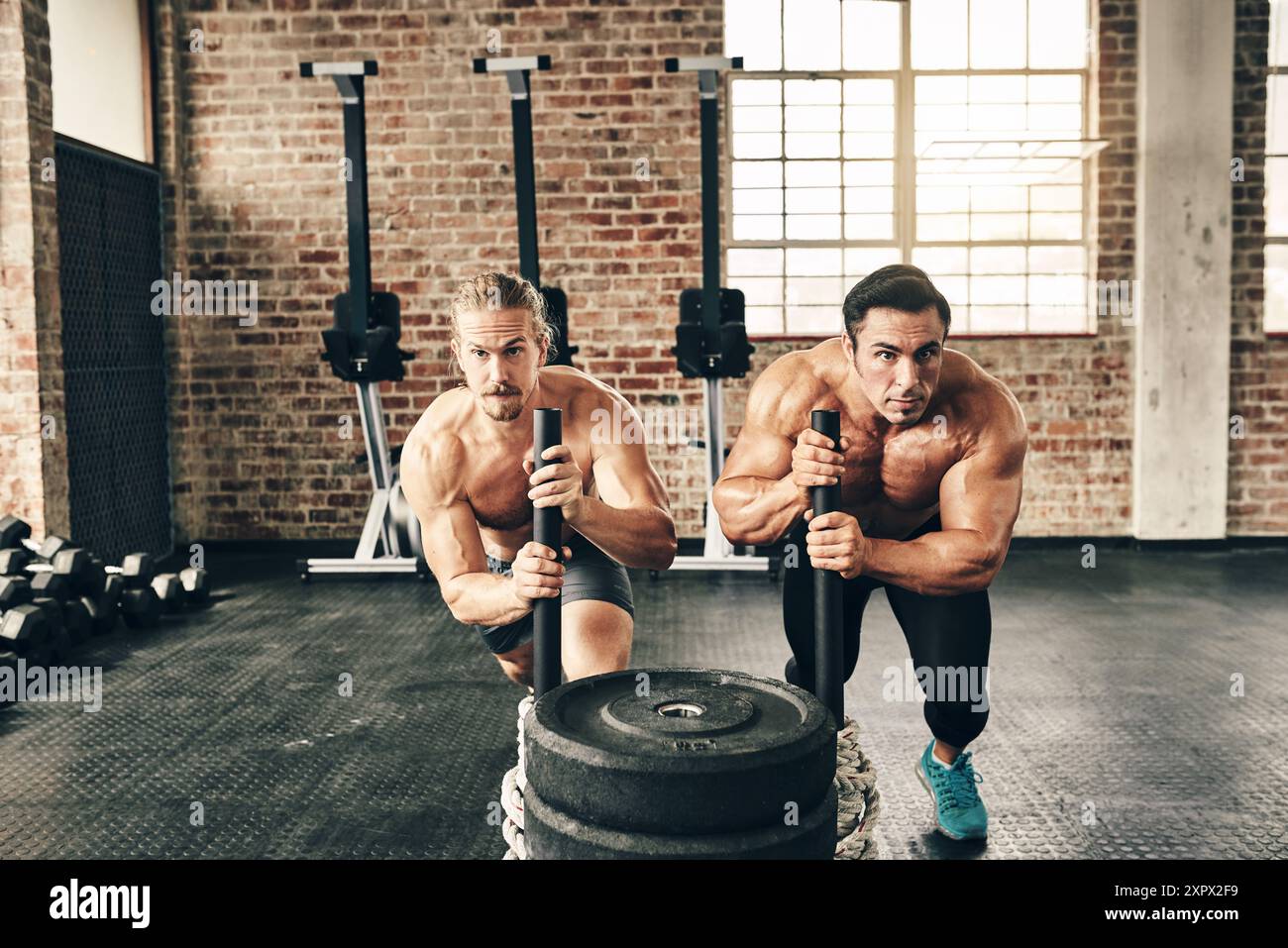 Men, sled and training in gym for workout, fitness and muscle growth ...