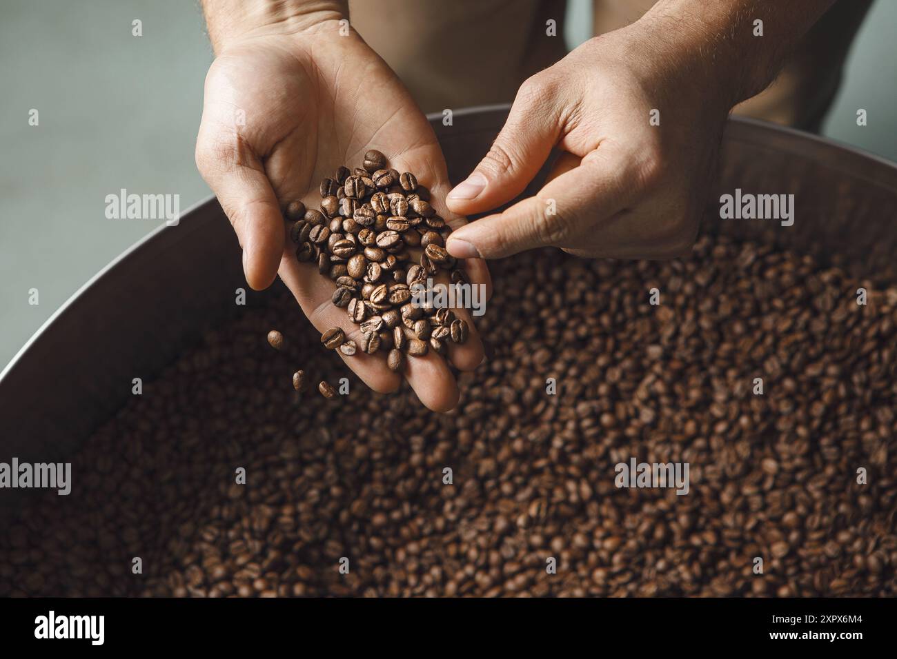 Roaster Inspecting Coffee Beans During Roasting Process Stock Photo - Alamy
