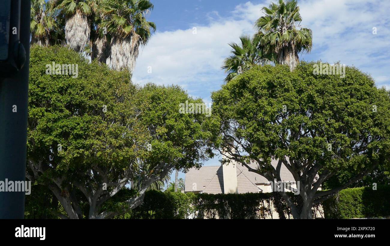 Beverly Hills, California, USA 7th August 2024 Director Tod Browning ...