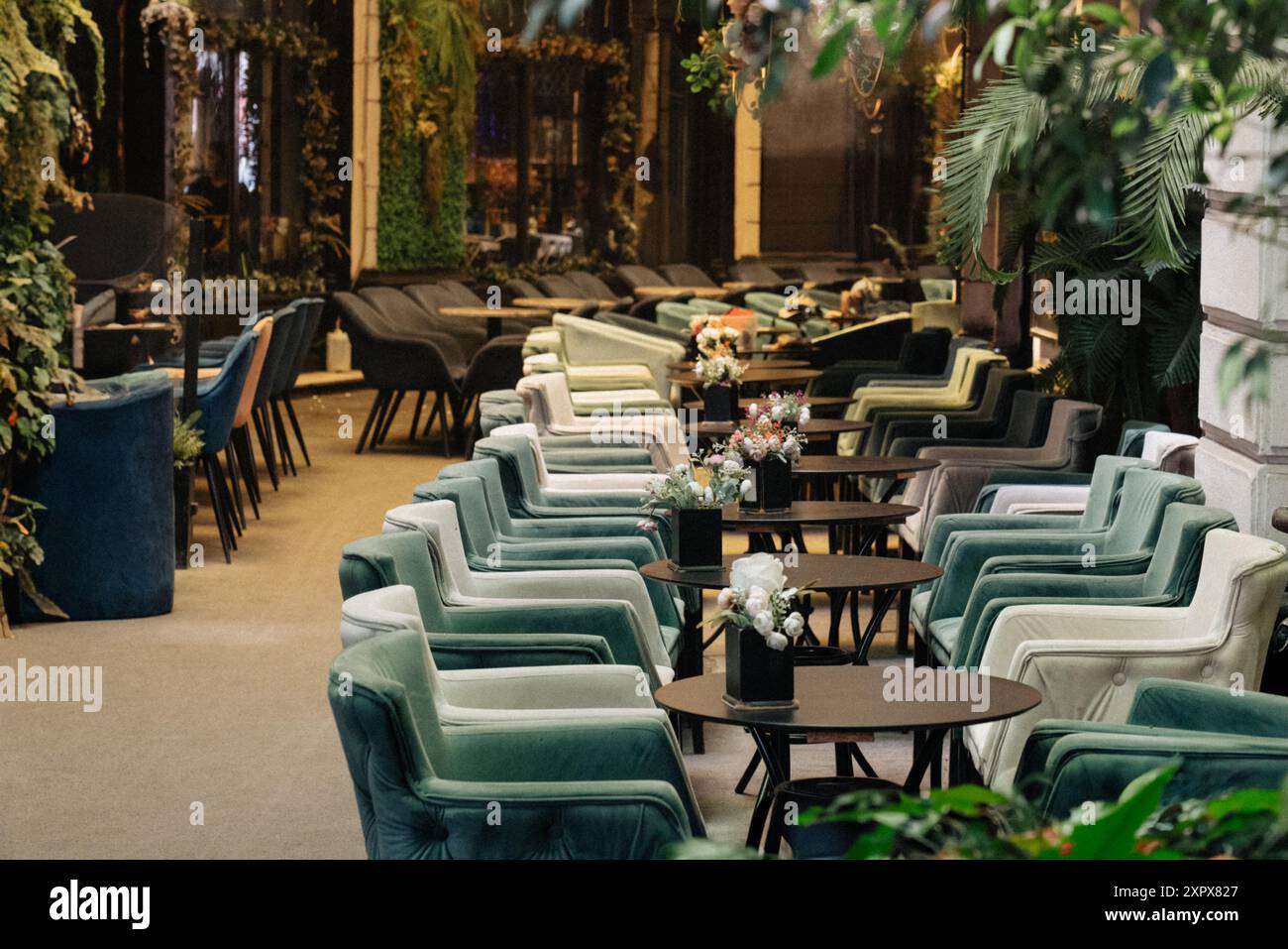 Armchairs restaurant table. Passenger's stall. Nature green plants ...