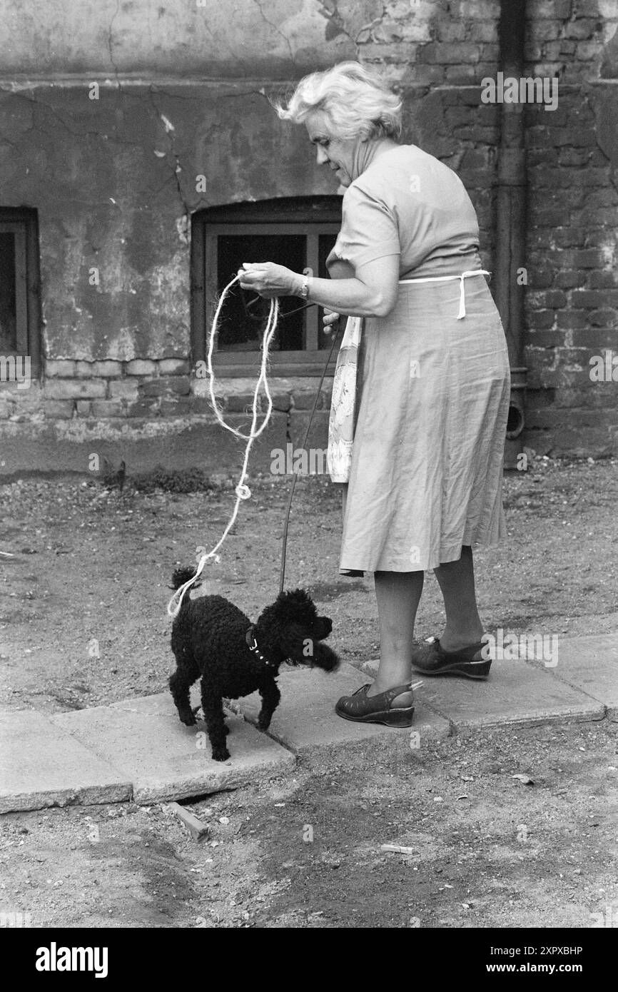 Dog crying happy Black and White Stock Photos & Images - Alamy
