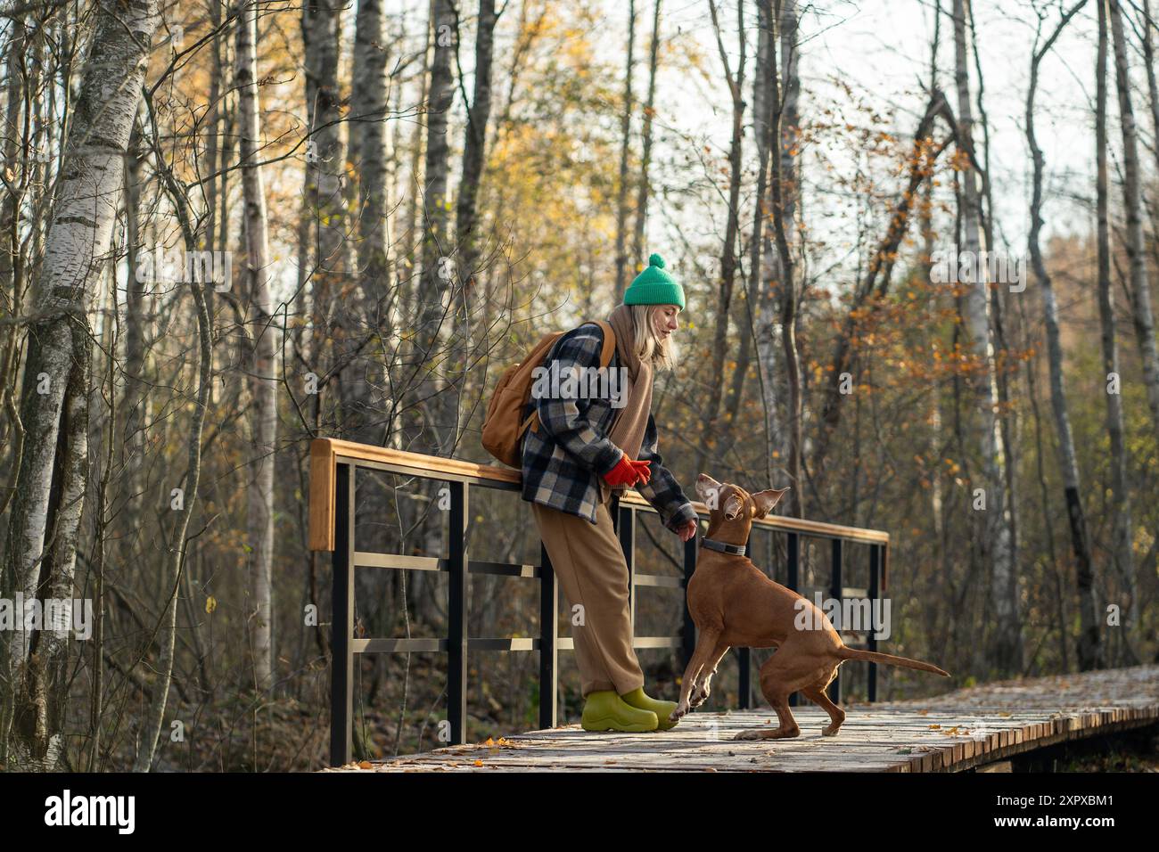 Calm woman and playful hunting dog on walk standing on bridge over ...
