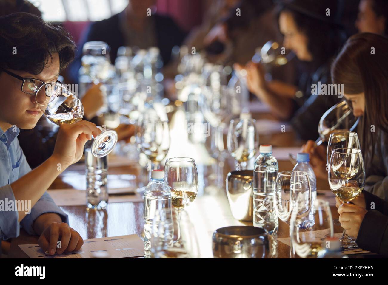 Wine Tasting Training Session in Progress at Indoor Education Room ...