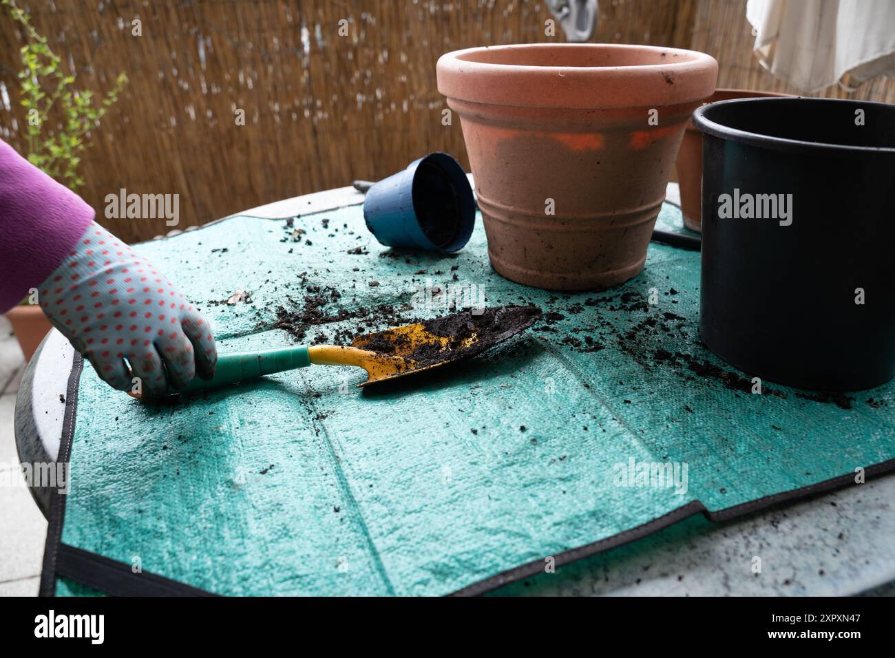 Flower pots and a shovel are ready on a table, one hand grabs the ...