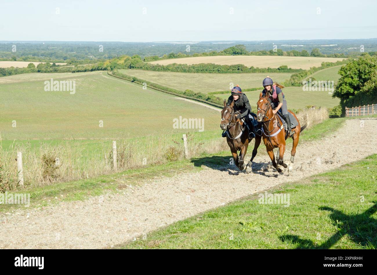 September 17, 2022: Two jockeys riding racehorses over the gallops at ...