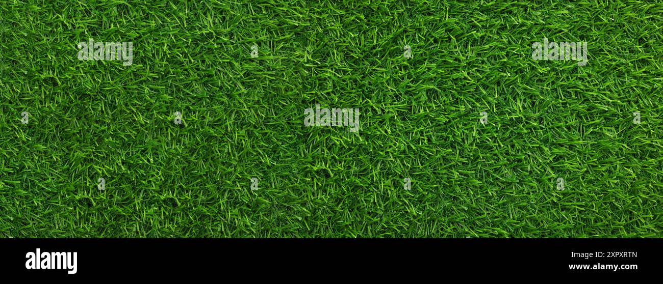 Green artificial grass as background, banner design Stock Photo - Alamy