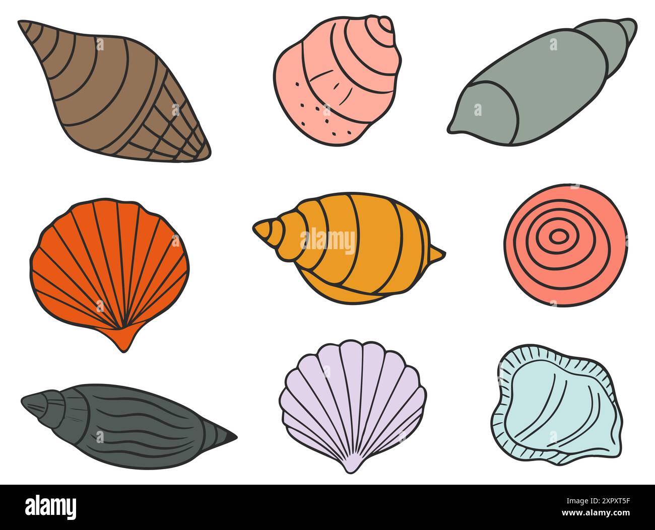 Set of hand drawn colorful seashells. Cartoon style vector illustration ...