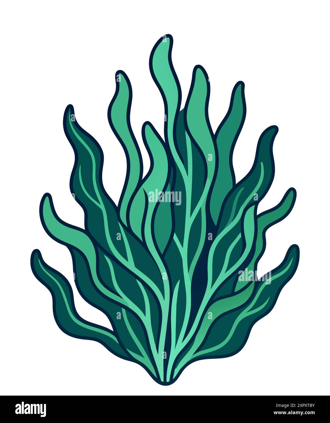 Hand drawn seaweed isolated on white. Cartoon style vector illustration ...
