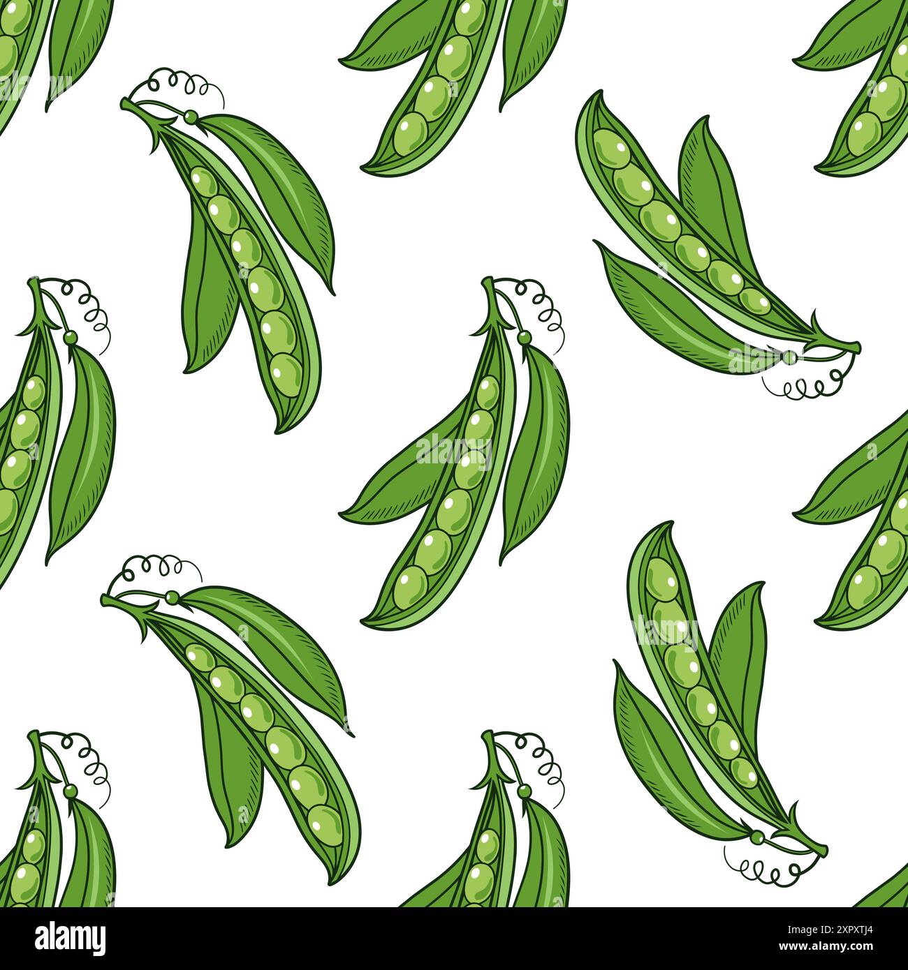 Seamless pattern with green pea pods. Cartoon style vector illustration ...