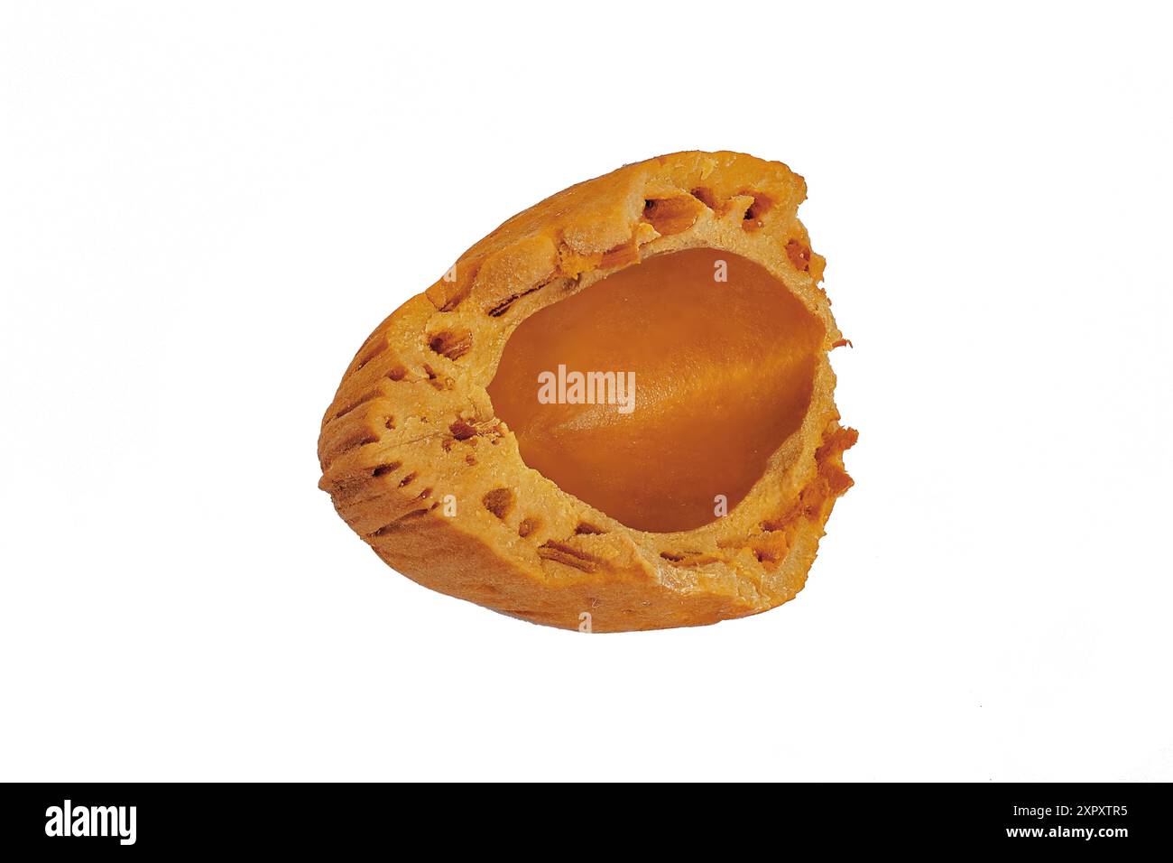 Almond (Prunus dulcis, Prunus amygdalus, Amygdalus communis, Amygdalus ...