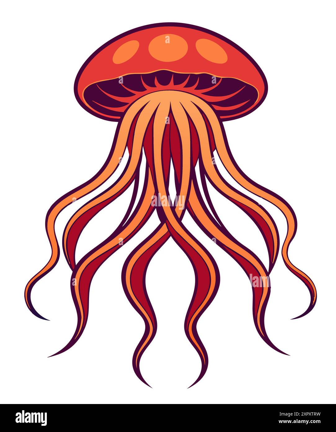 Jellyfish isolated on white. Cartoon style vector illustration Stock ...