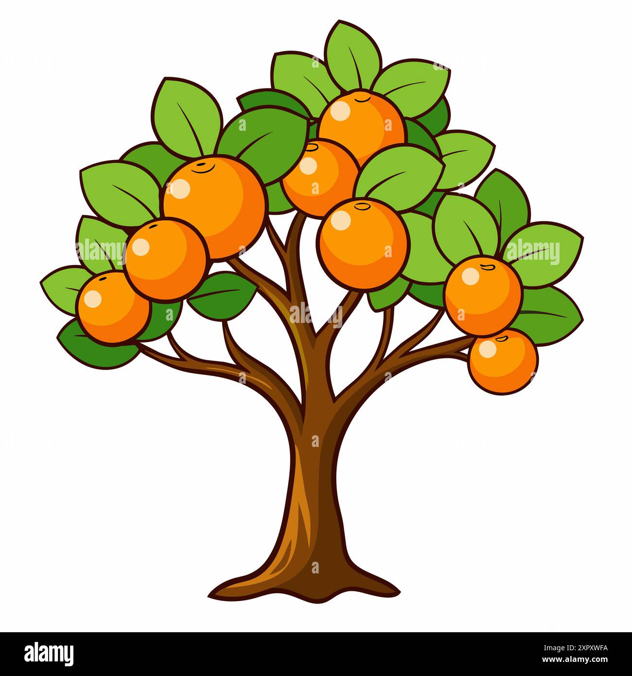 Orange tree with ripe fruits isolated on white background. Cartoon ...