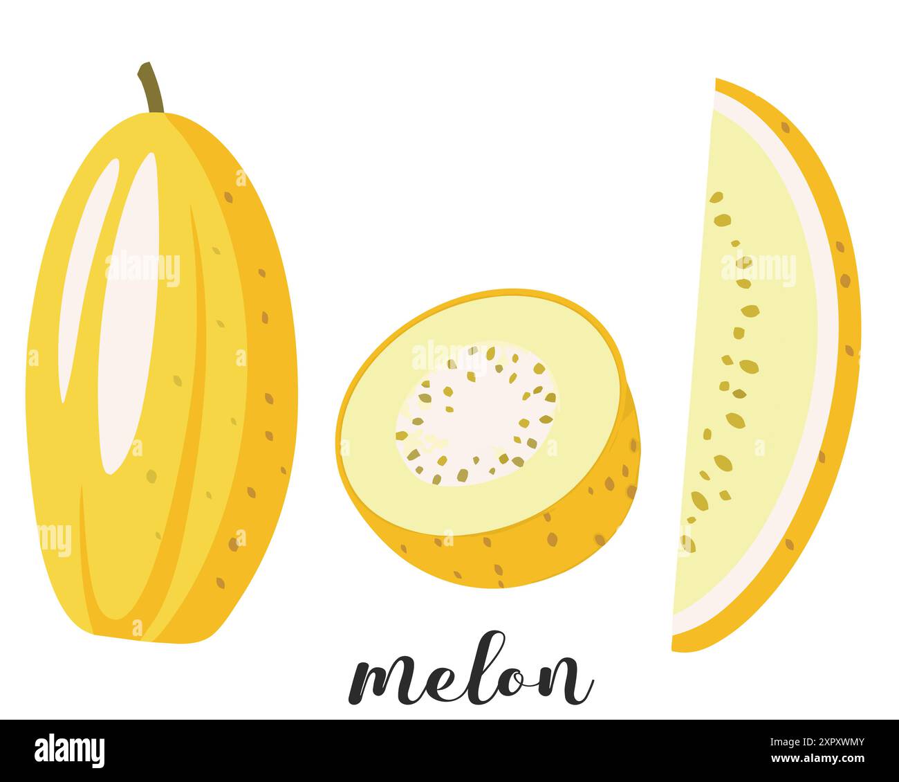 Illustration of hand drawn melon, sliced and whole isolated on white ...