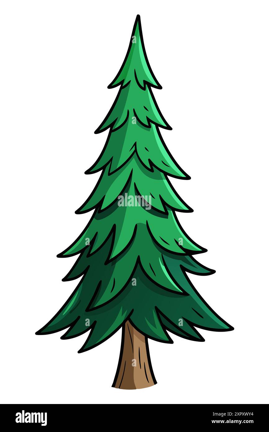 Hand drawn spruce tree isolated on white. Evergreen plant. Cartoon ...