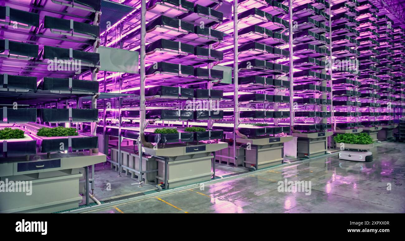Autonomous Robots Vertical Farming Logistics Warehouse: Farm Robots ...
