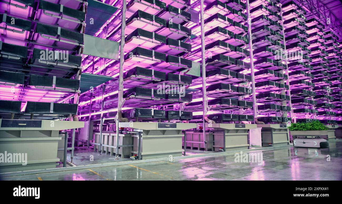 Autonomous Robots Vertical Farming Logistics Warehouse: Farm Robots ...