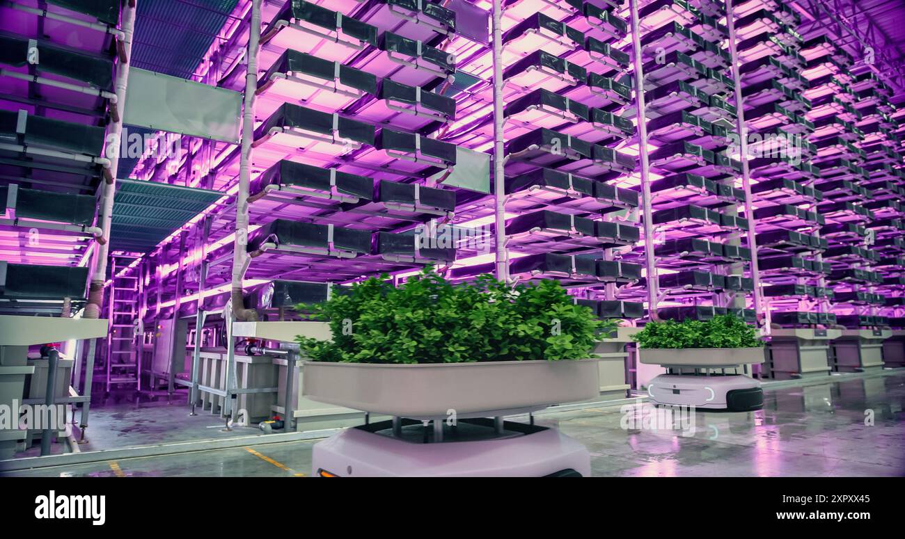 Autonomous Robots Vertical Farming Logistics Warehouse: Robots ...
