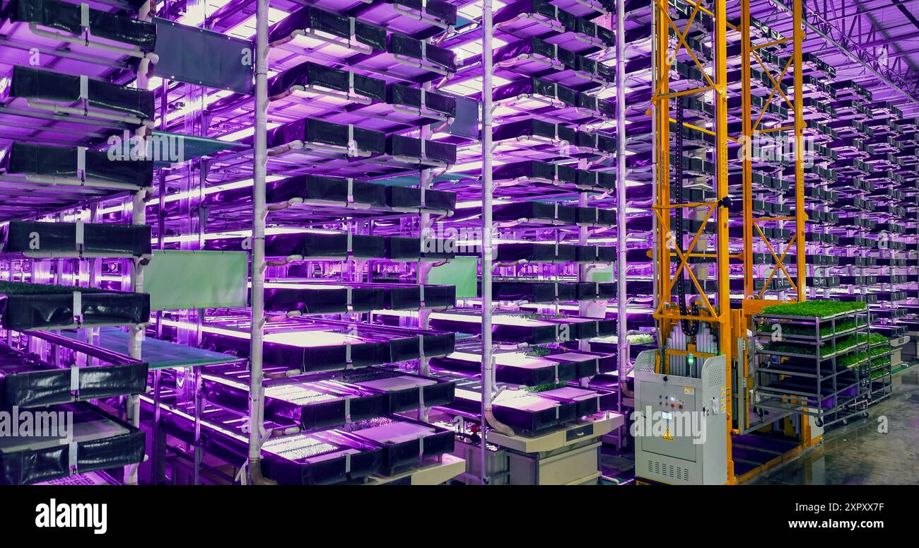 Modern Vertical Farm with Multiple Rows and Layers of Eco-Friendly ...