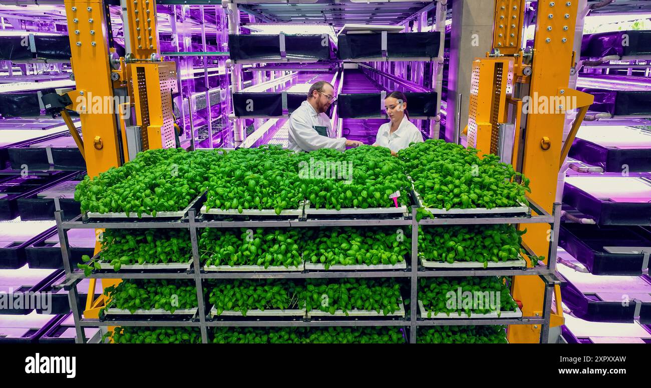 Agriculture Engineer Having a Conversation with a Colleague at a ...