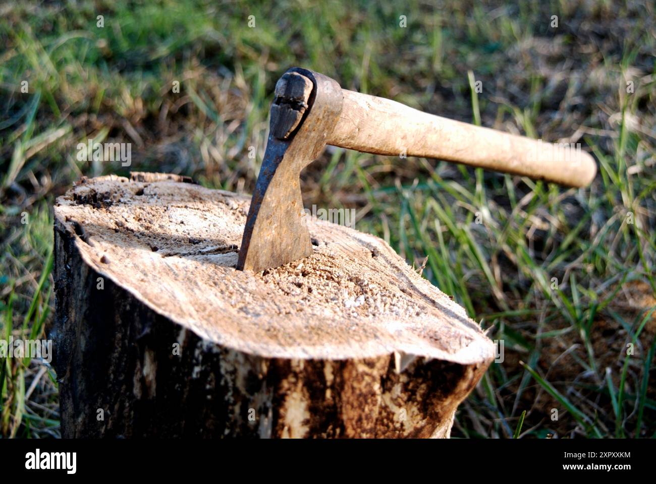 Axe stuck in a log Stock Photo - Alamy