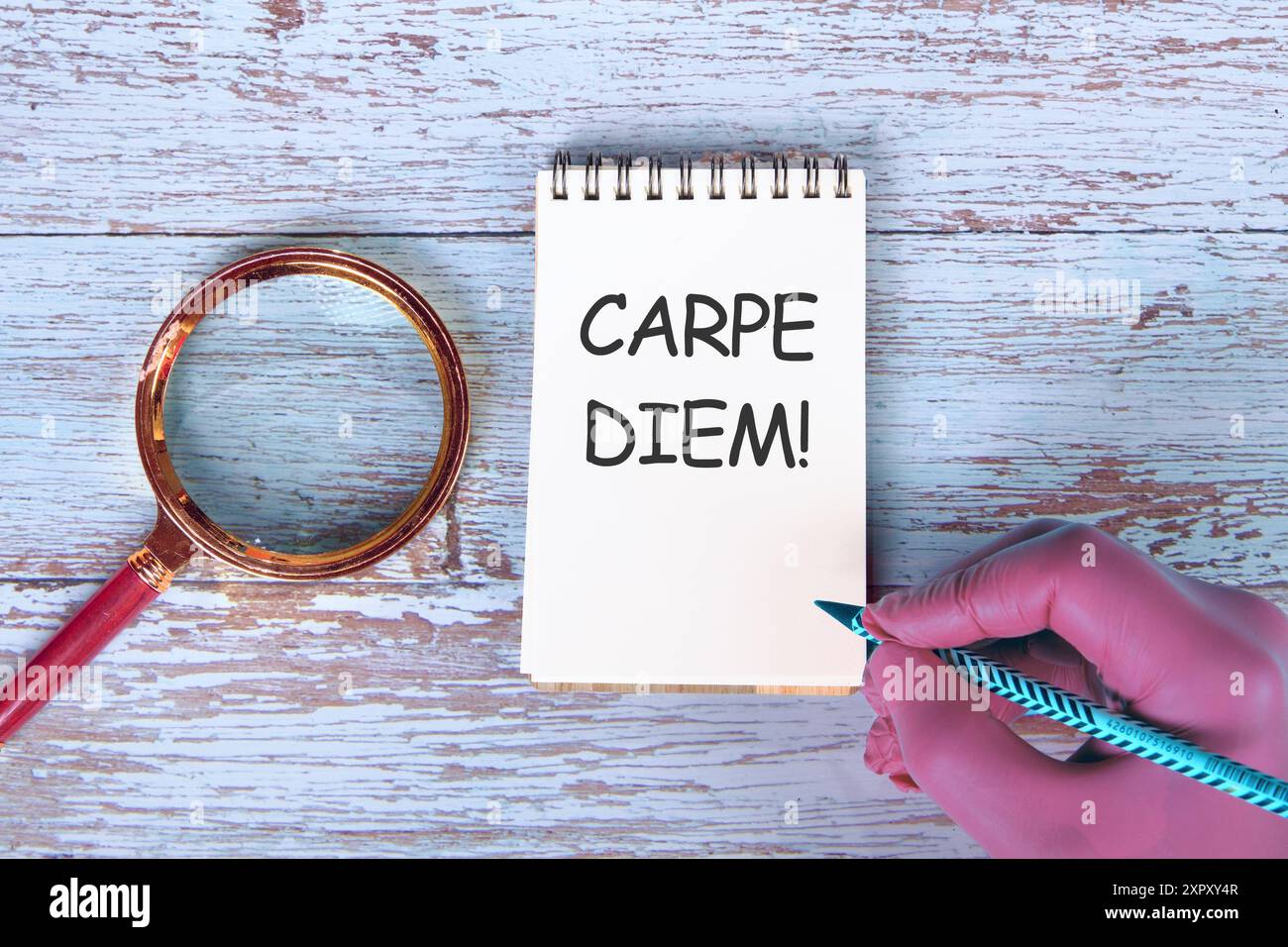 Carpe Diem Phrase It means Seize the moment in a notebook on the ...