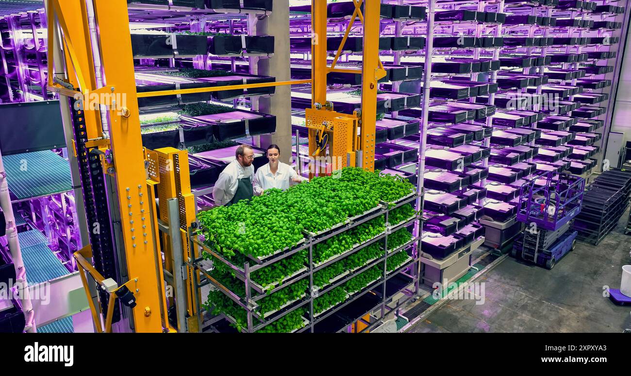 Farmer and Agriculture Engineer Having a Conversation at a Vertical ...