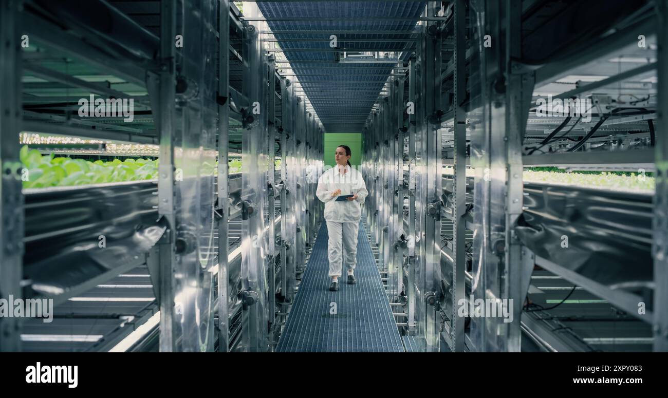 Female Farming Technician Walking Between Rows of Produce at a Modern ...