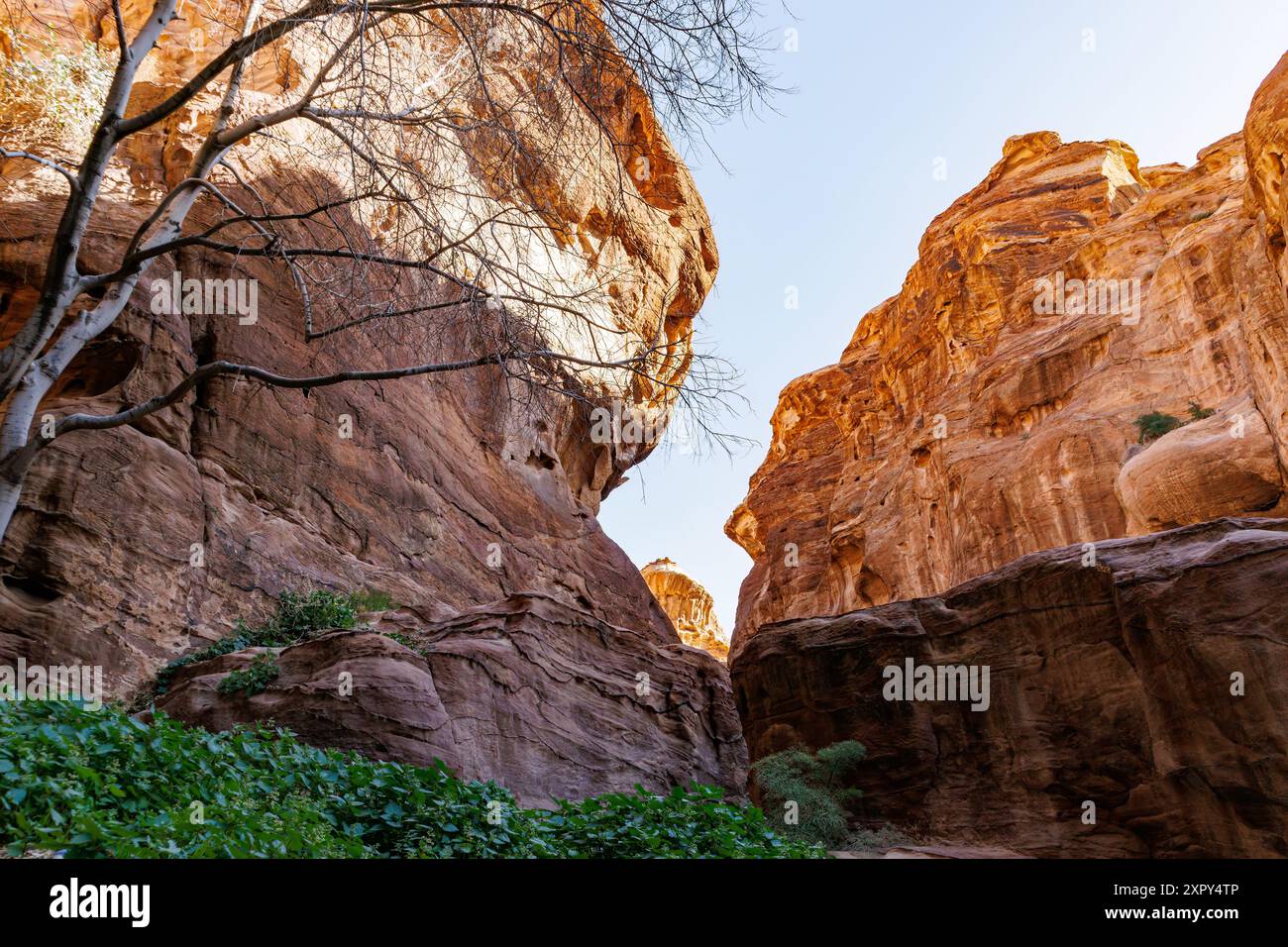 Landscapes in the Wadi Musa desert in Jordan near Petra Stock Photo - Alamy