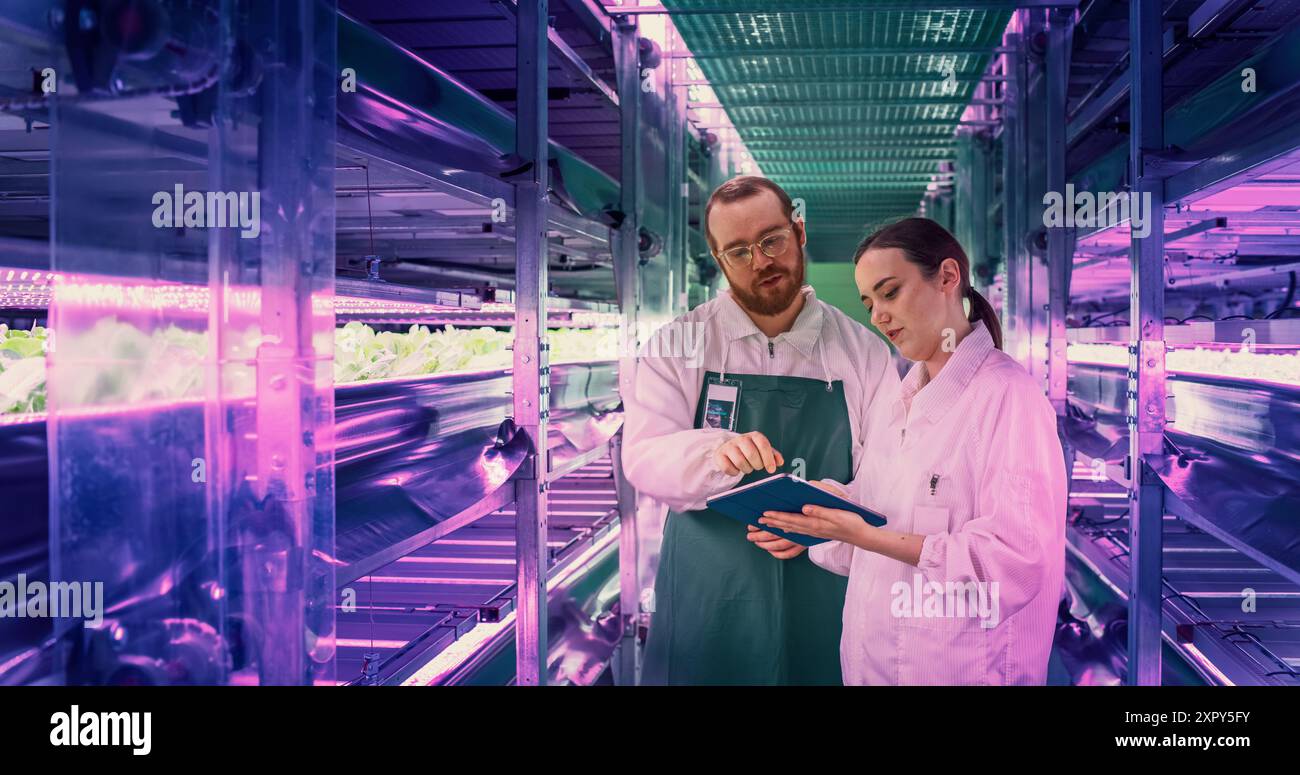 Agricultural Engineer and a Young Female Scientist Discussing Vegetable Plant Quality at a ...