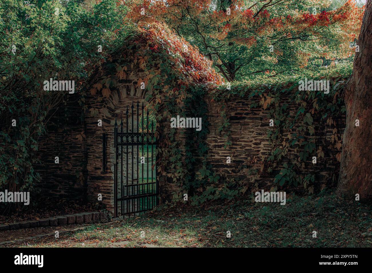 The old water castle fence is overgrown with plants Stock Photo - Alamy