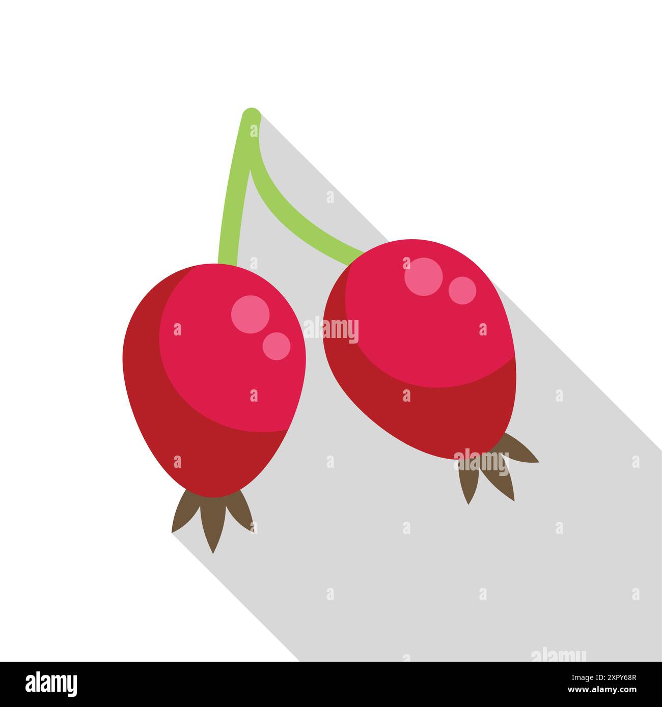 Red rose hips hanging Stock Vector Images - Alamy