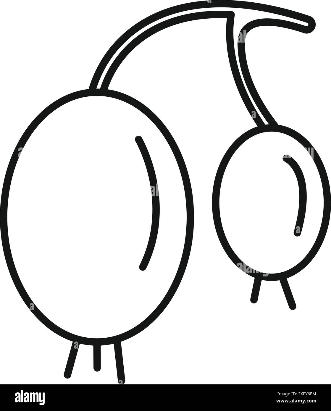 Simple line drawing of two gooseberries hanging from a branch, perfect ...