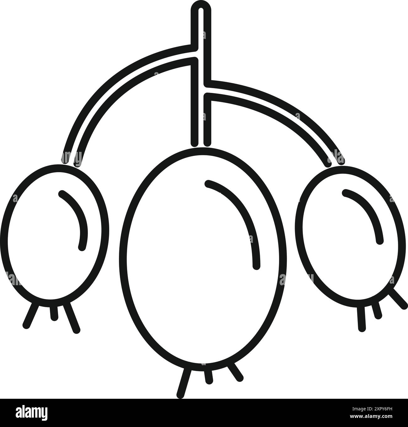 Simple line drawing icon of three berries hanging on a twig Stock ...