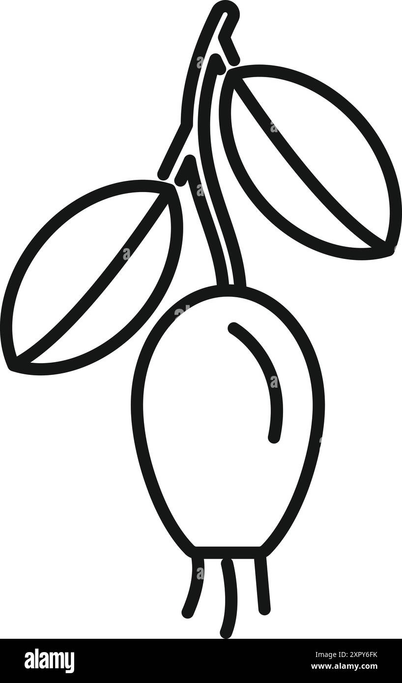 Simple line drawing of a rosehip growing on a branch with leaves Stock ...