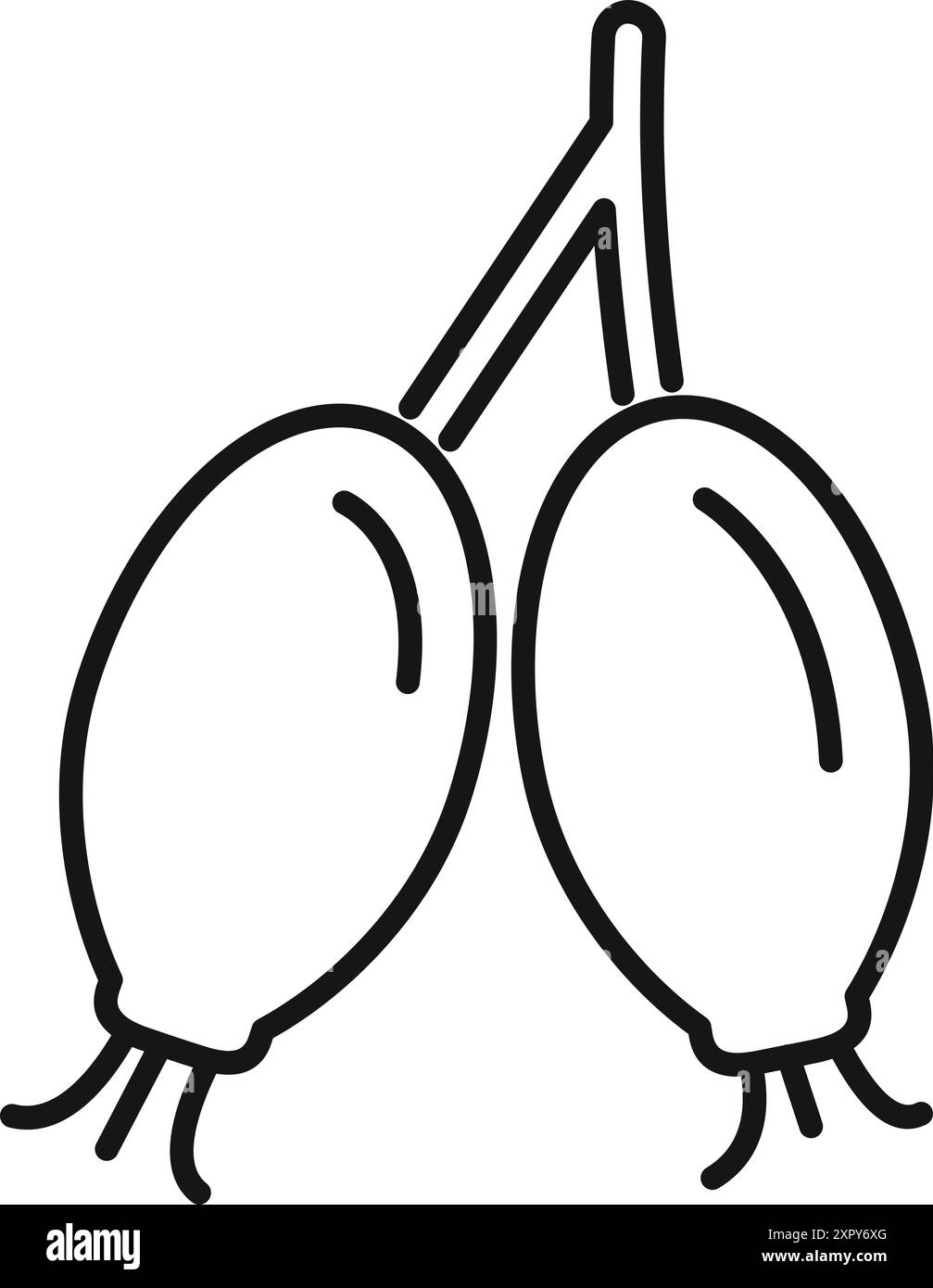 Simple black and white line art of two rose hips still attached to a ...
