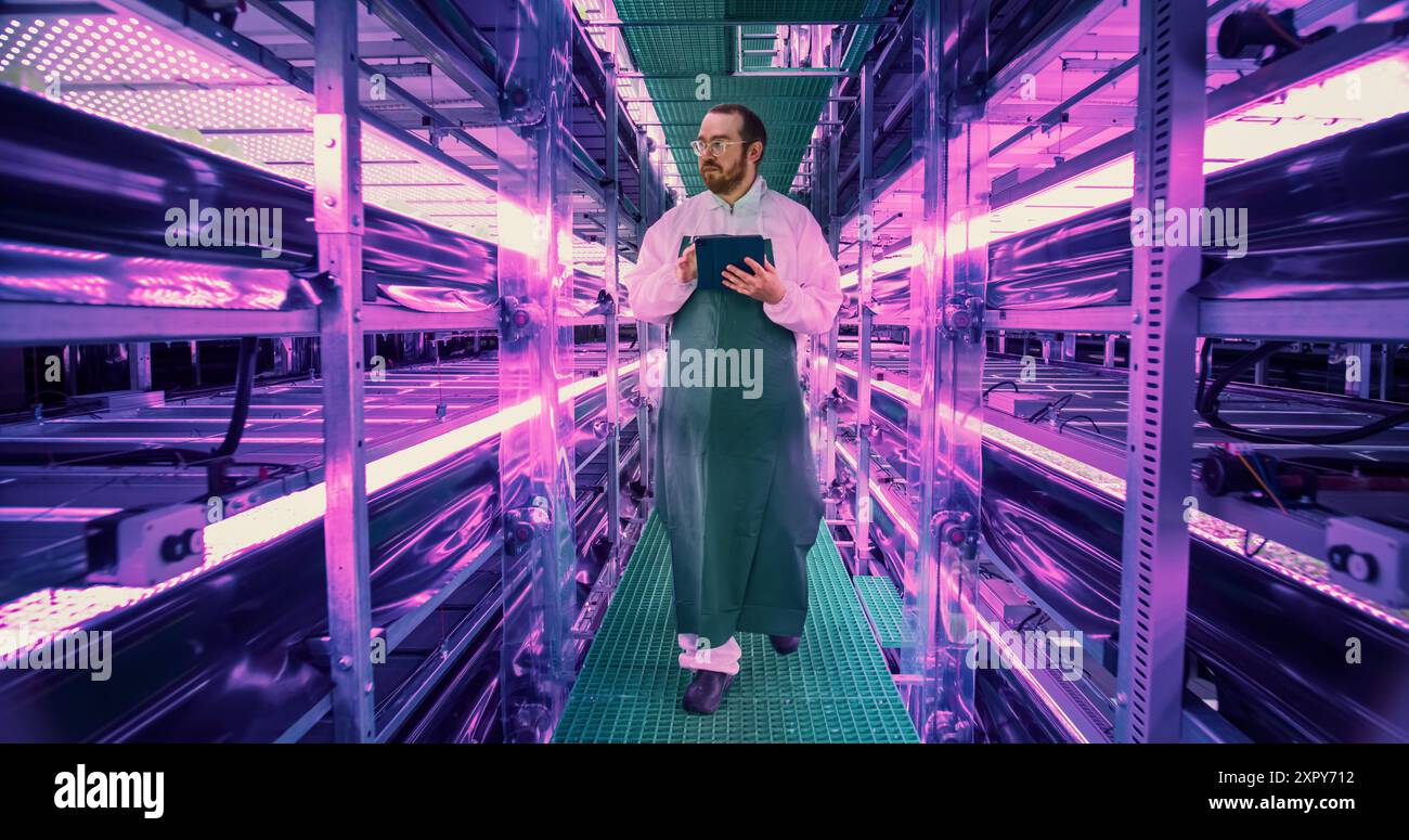 Farming Technician Walking Between Rows of Produce at a Modern Vertical ...