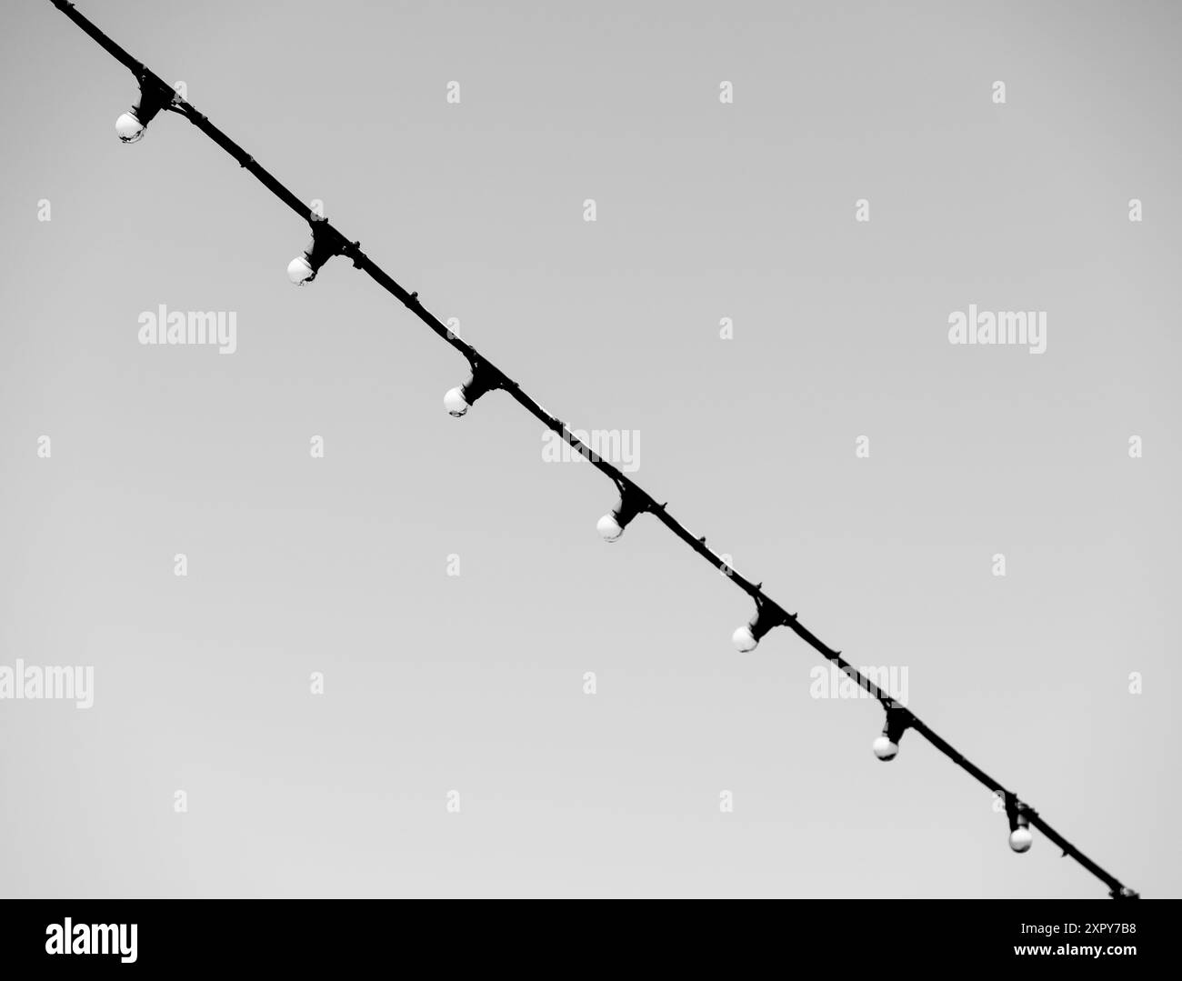 Diagonal line of light bulbs and white background Stock Photo - Alamy