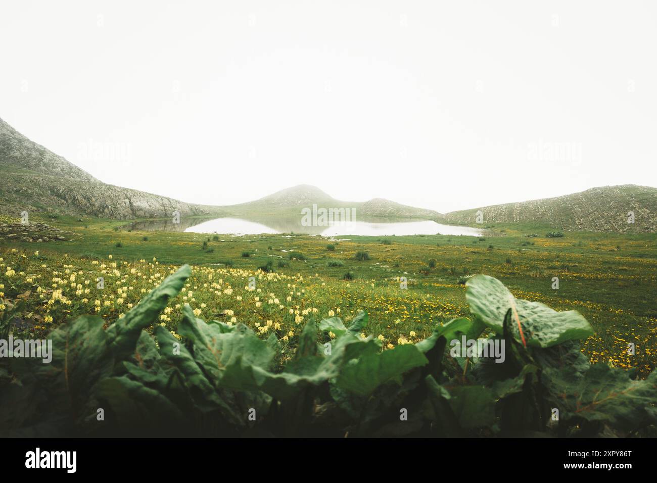 Aerial side view alpine Chokhi Sakori Lake. Georgia country caucasus ...