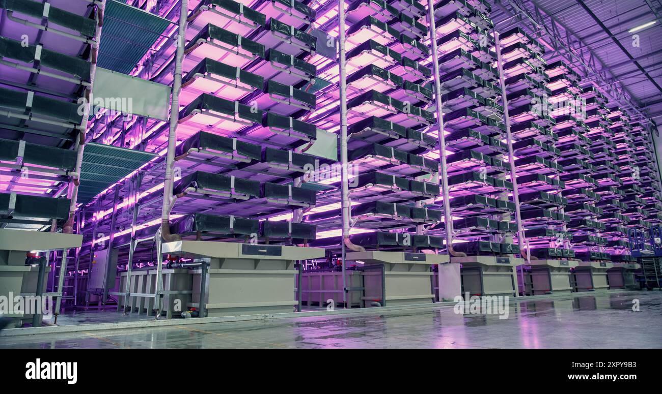 Vertical Farming Concept. Racks with Vertically Stacked Layers of Green ...