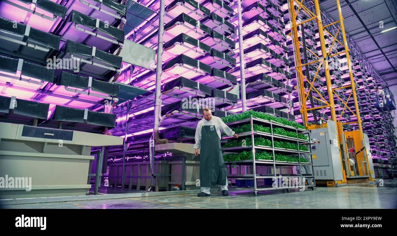 Big Vertical Farm with Multiple Rows and Layers of Eco-Friendly Plants ...