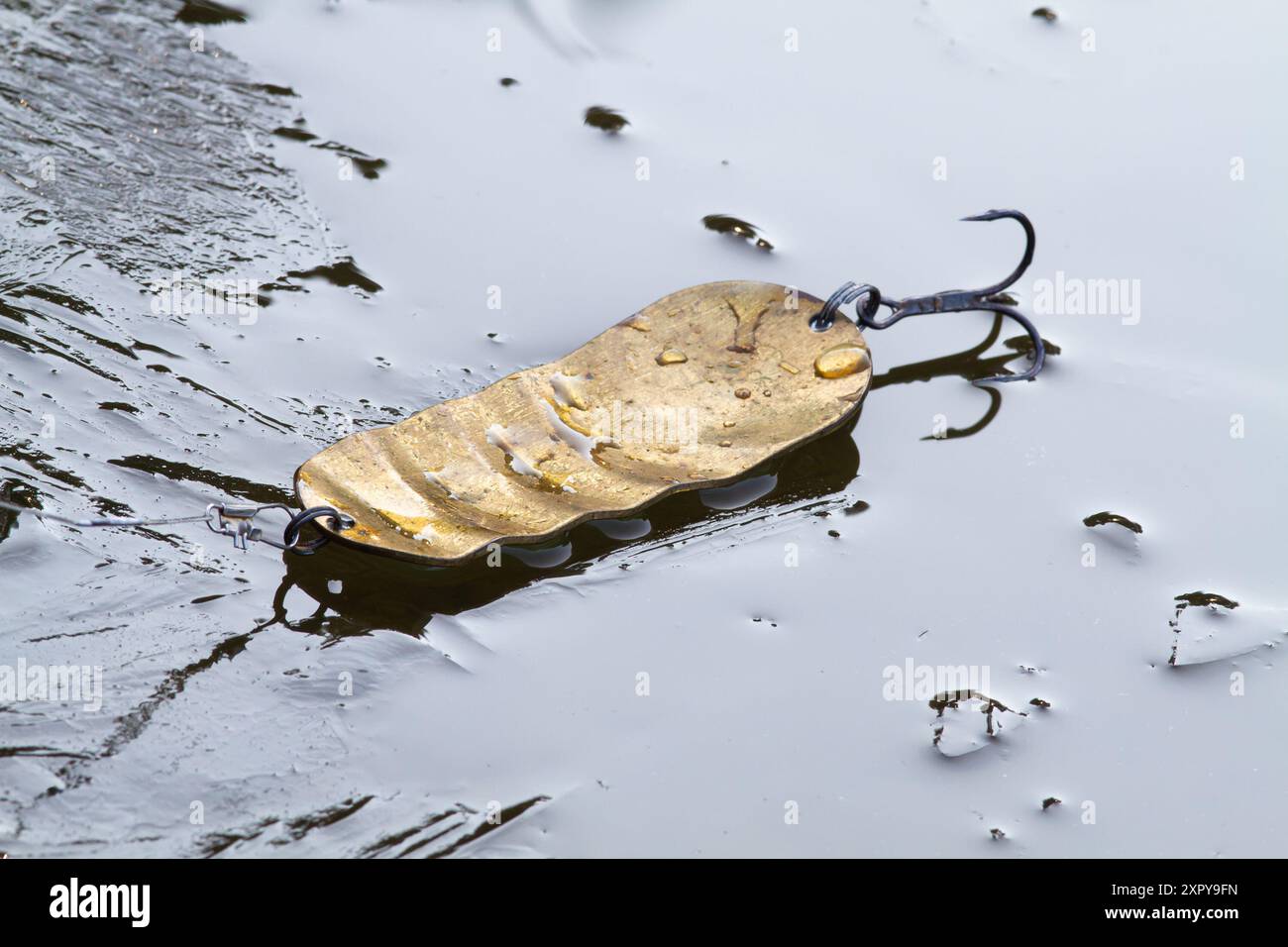 Spinning lure (bronze spinner) lies on the river ice. Water spilled ...