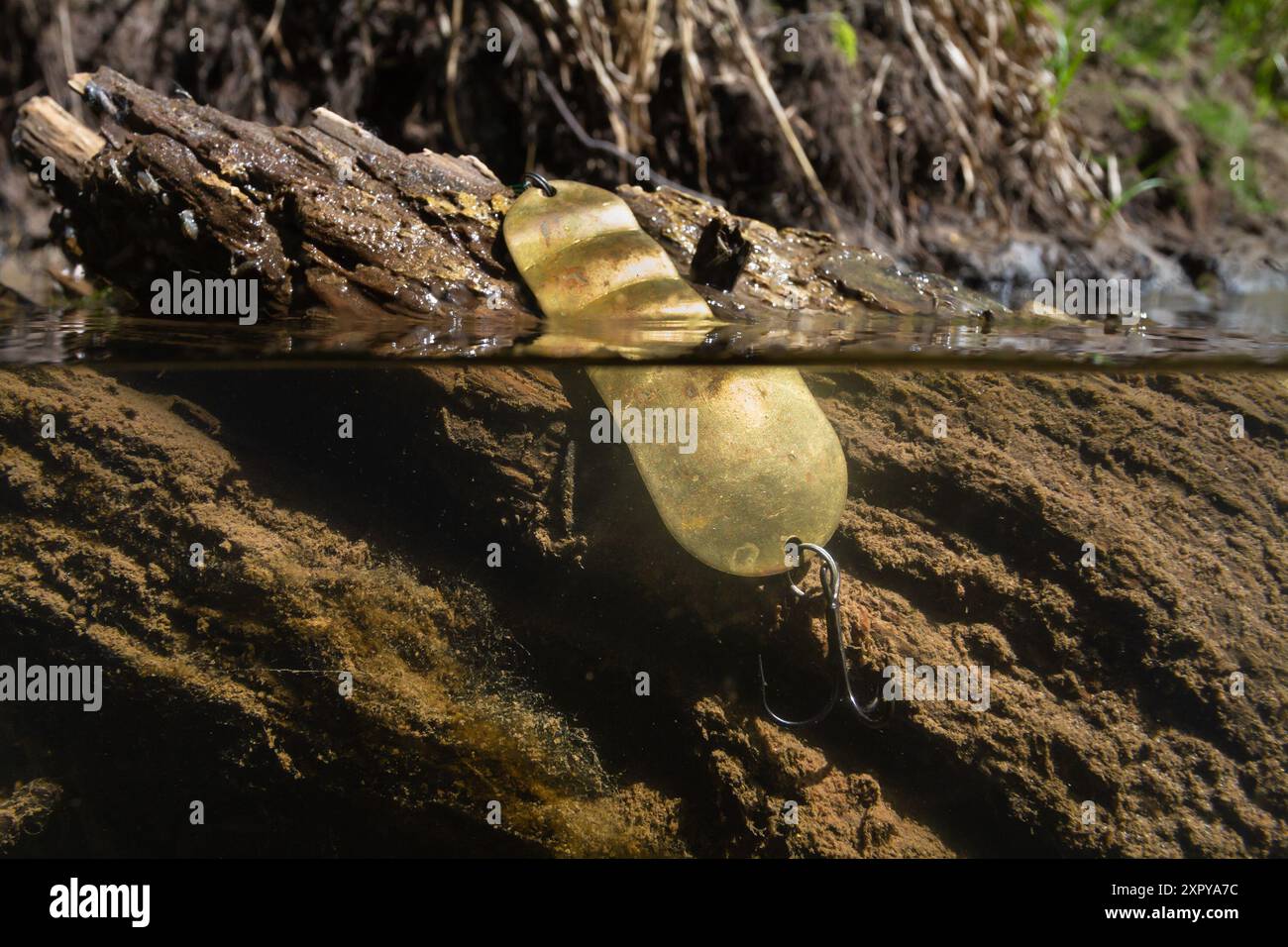 The spinning bait (bronze spoon) is caught on a river snag and lies ...