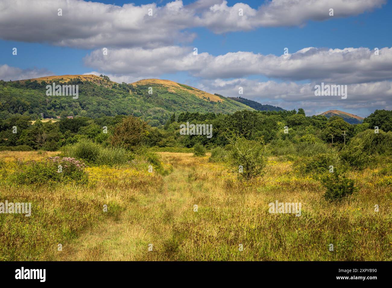 Castlemorton Common with the Malvern Hills in the background ...