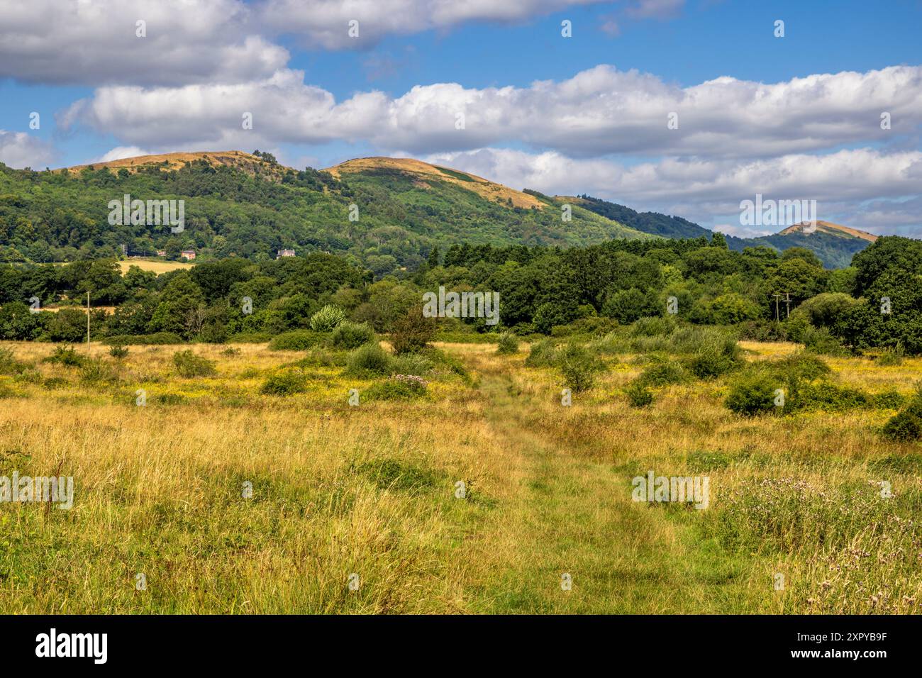 Castlemorton Common with the Malvern Hills in the background ...
