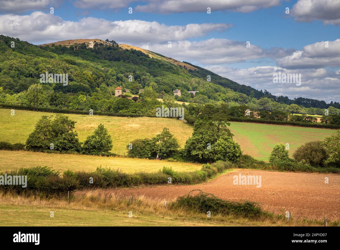 Black Hill and Pinnacle Hill with the Bell tower of Little Malvern ...