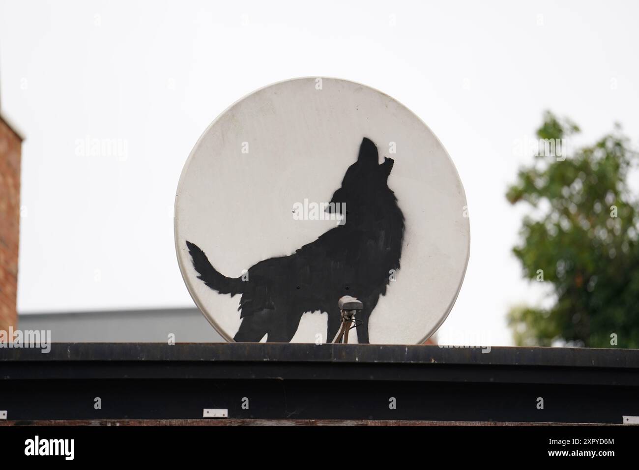 A new artwork depicting a howling wolf unveiled by Banksy, painted on ...