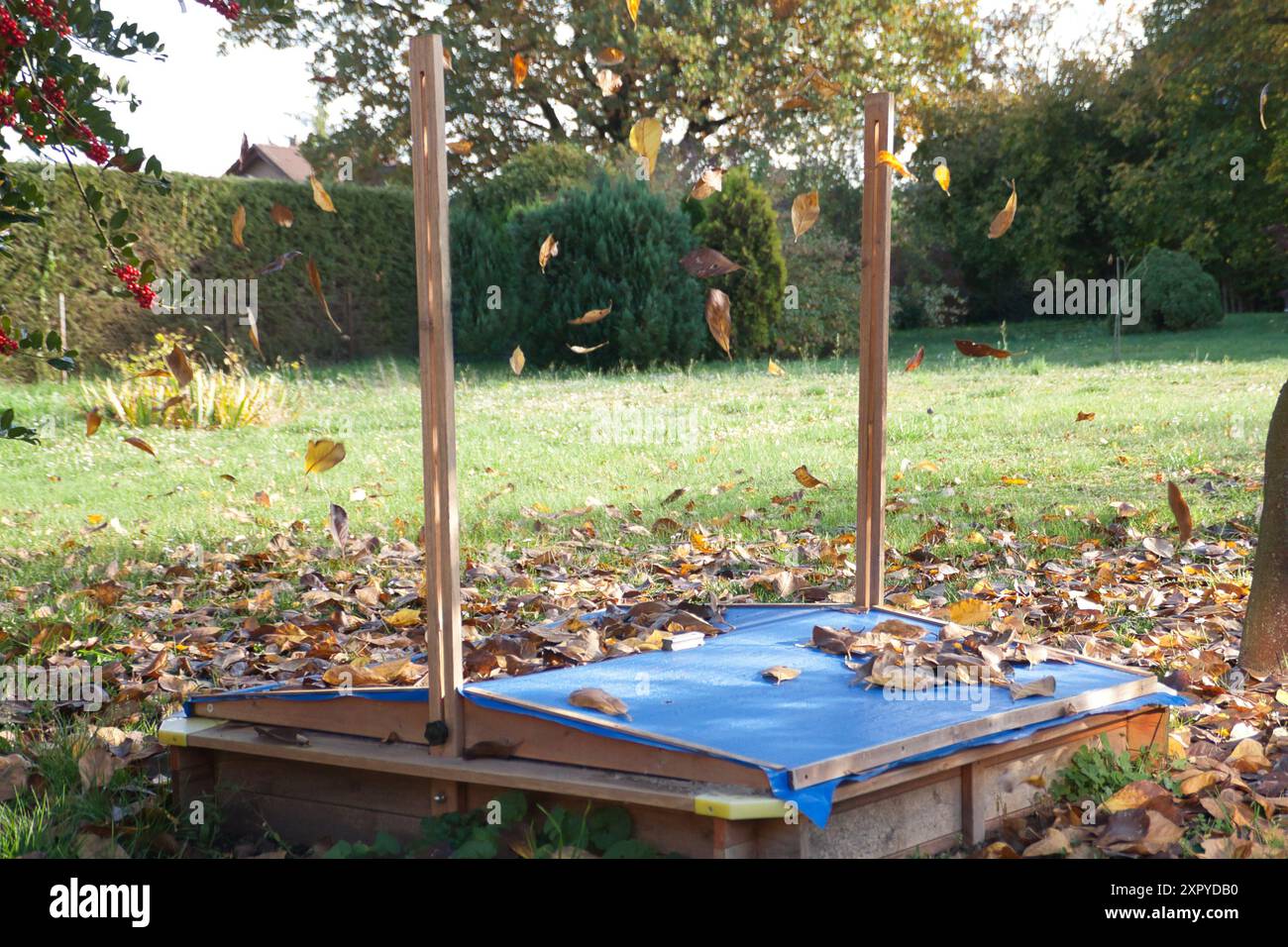 Leaves fall onto the sandpit covered with a tarpaulin Stock Photo - Alamy