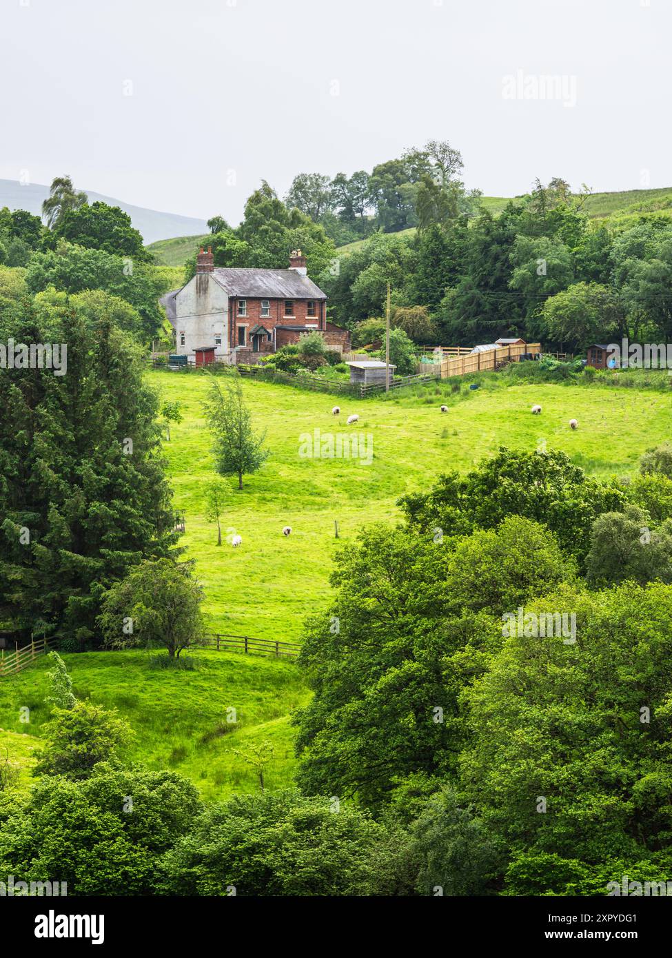 Farmlands over Lambley Viaduct, River South Tyne, Lambley ...